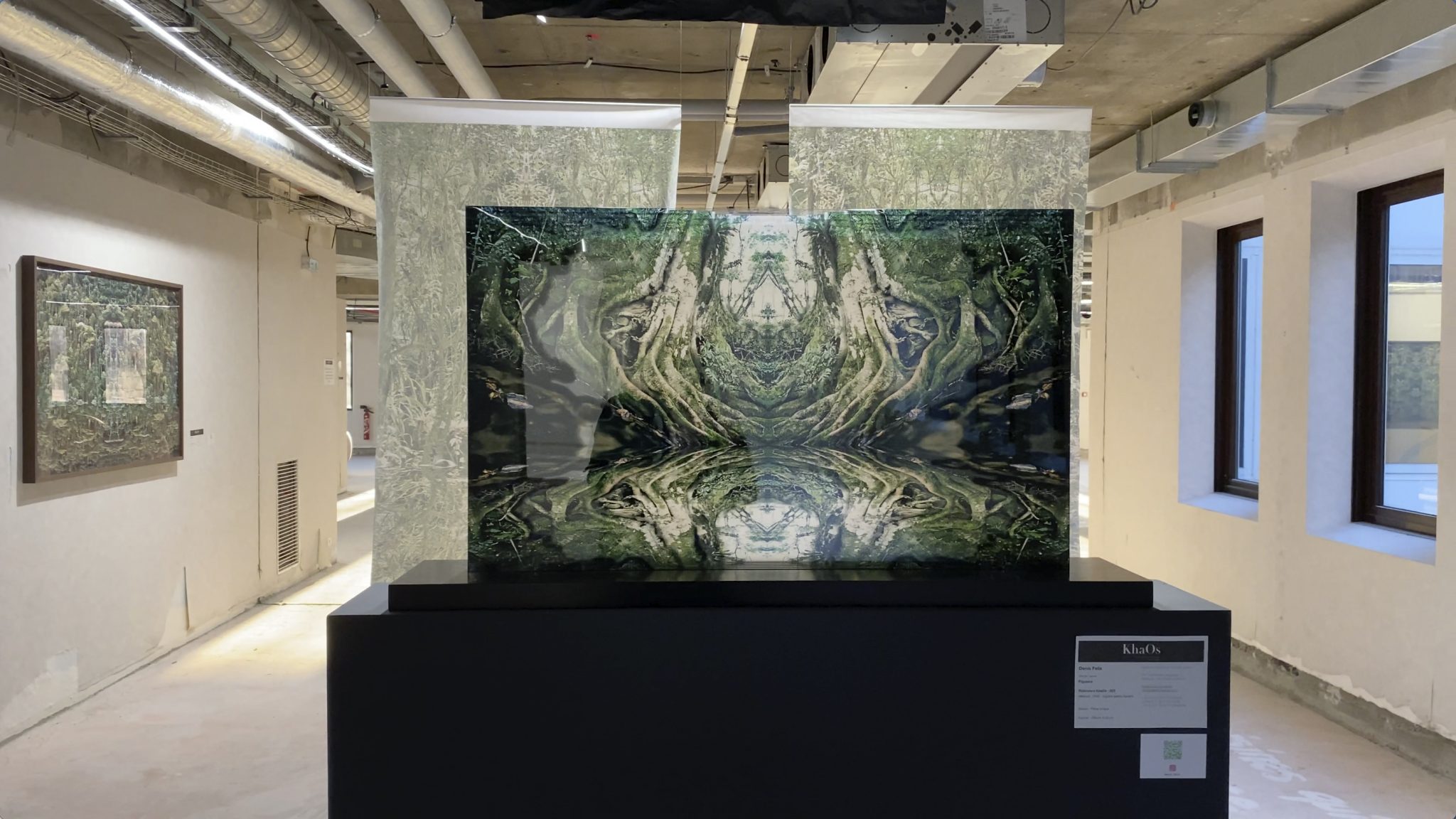 Denis Felix - Artist Photographer